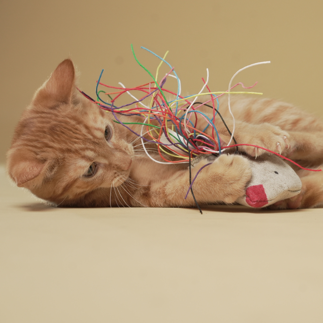 Eco-Catty Pillar Cat Toy | Handmade in Nepal, Assembled in the USA ...