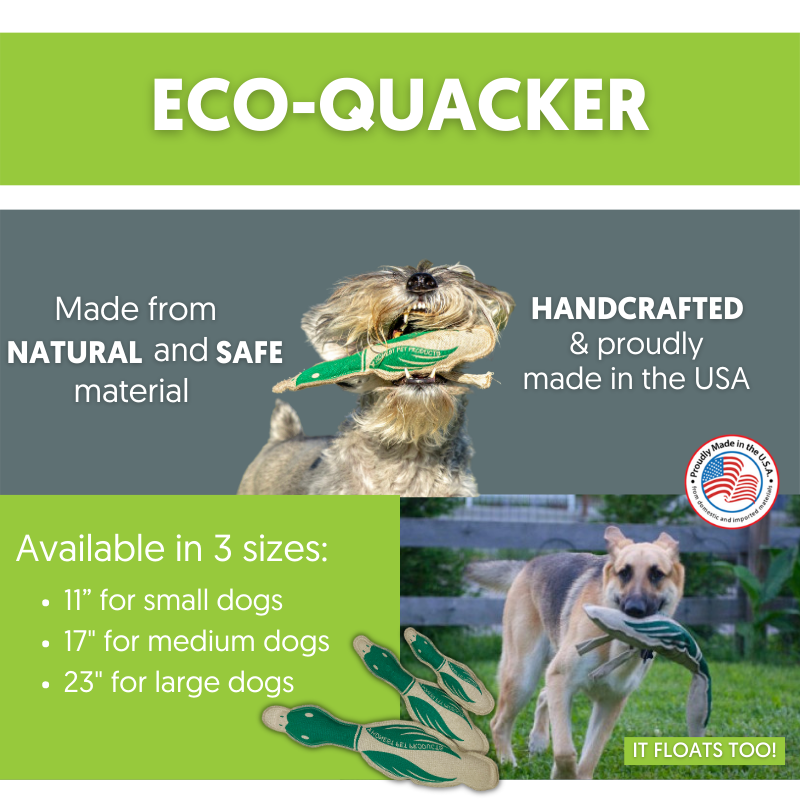 Eco Quacker - SQUEAKY DUCK DOG TOY – Honest Pet Products