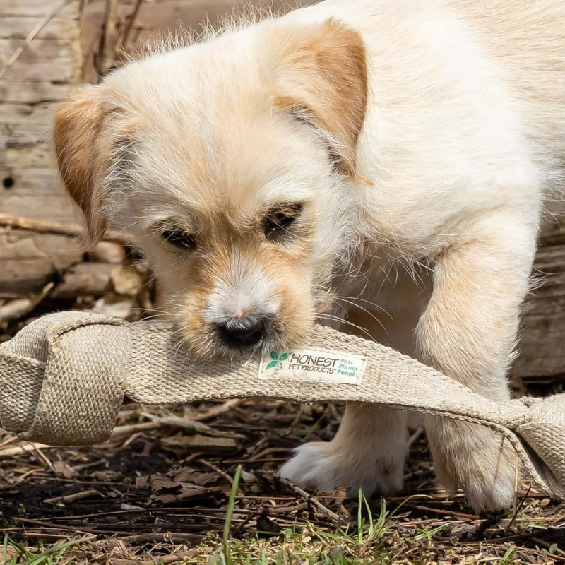 ECO TUGGER DOG TOY – Honest Pet Products