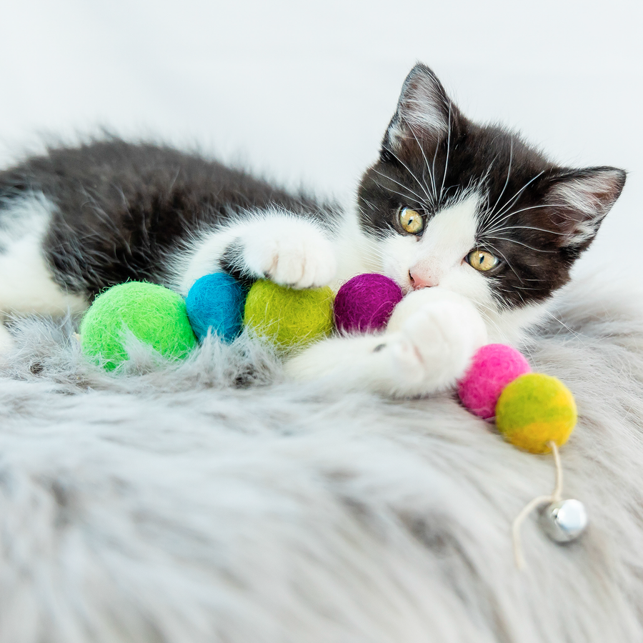 Eco-Quacker Duck Dog Toy | Handmade in the USA | Natural Hemp & Wool ...