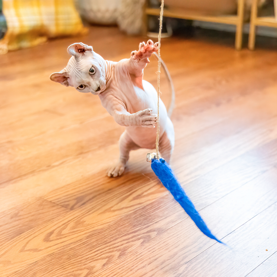 Eco-Catty Pillar Cat Toy | Handmade in Nepal, Assembled in the USA ...